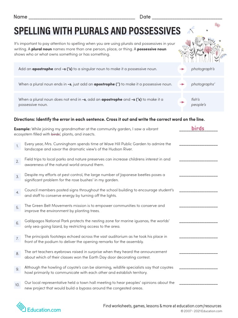Spelling With Plurals and Possessives: Birds | PDF