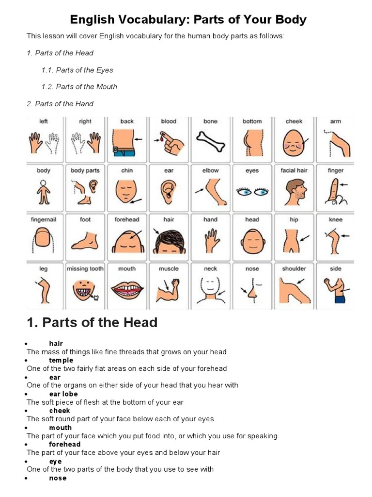 English Vocabulary: Parts of Your Body | PDF | Hand | Mouth