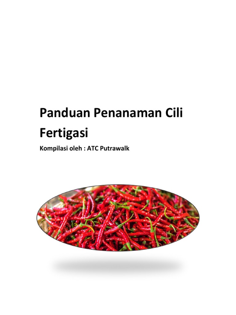Panduan Cili Fertigasi | PDF