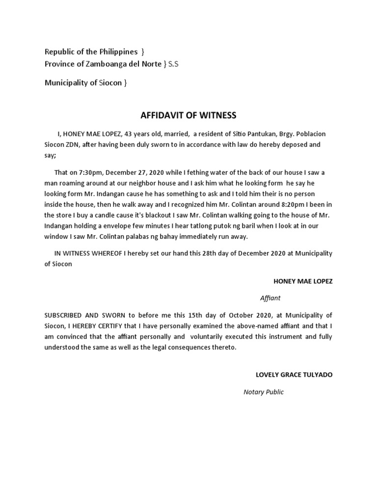 AFFIDAVIT of Witness Bien | PDF