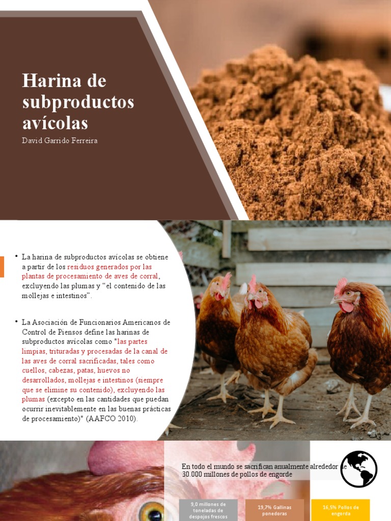 Harina de Subproductos Avícolas: Usos y Calidad | PDF | Lisina | Dieta