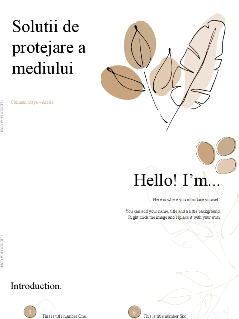 Solutii de Protejare A Mediului: Culiman Maya - Alesia | PDF