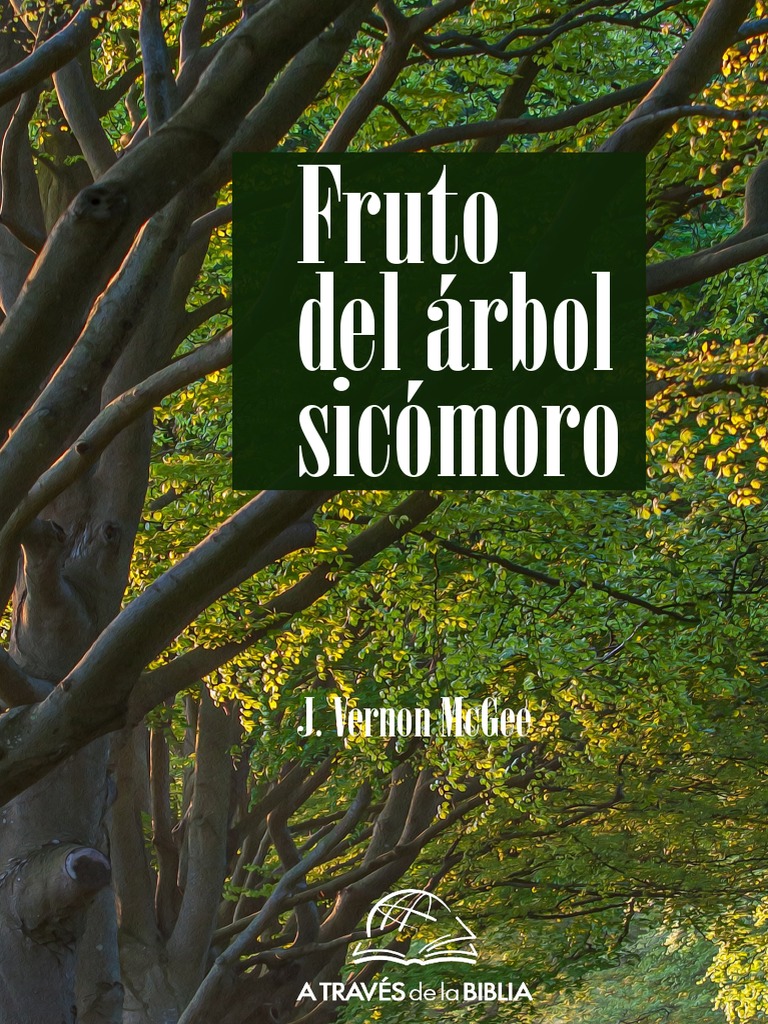 ATB El Fruto Del Arbol Sicomoro | PDF | Jesús | Buen trabajo