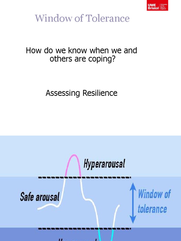 Window of Tolerance Slides - Adapted | PDF