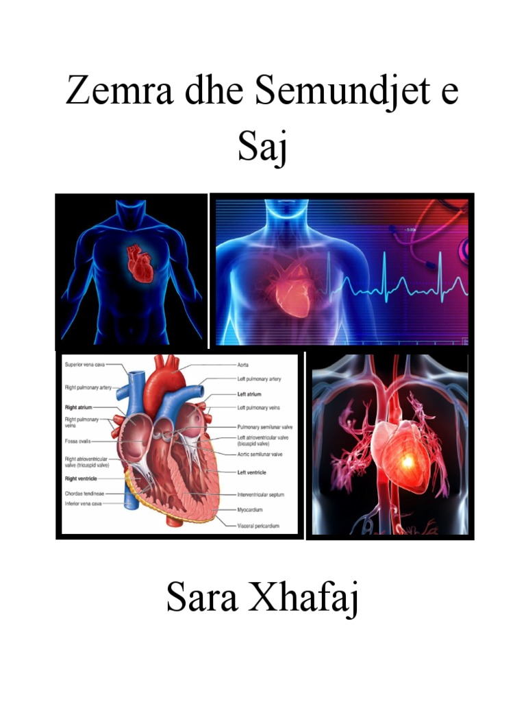 Zemra | PDF