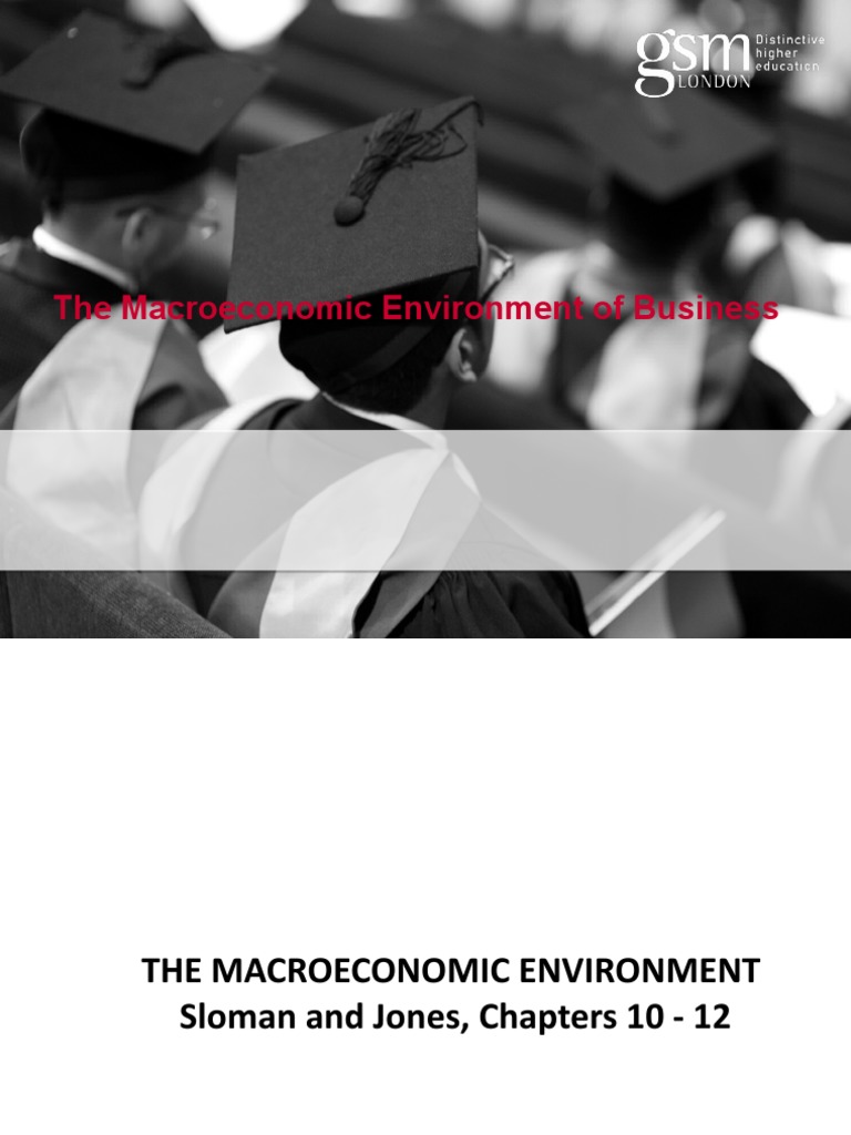 Macroeconomic Environment | PDF | Exchange Rate | Fiscal Policy