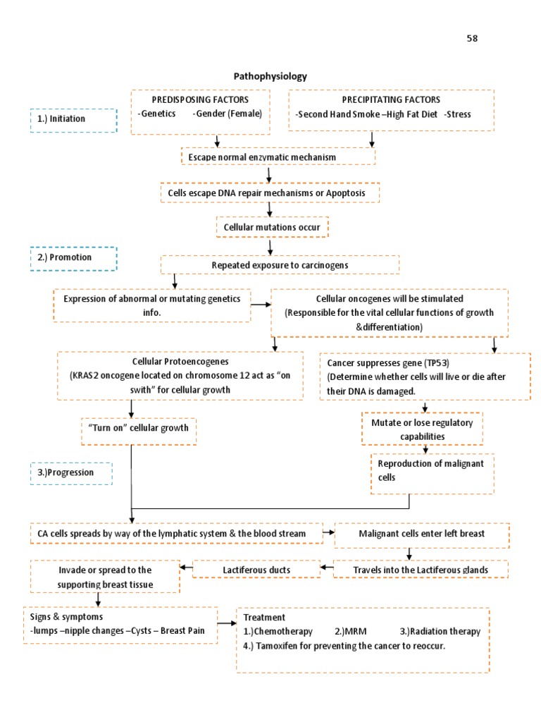 4 2 Pathophysiology Breast CA | PDF