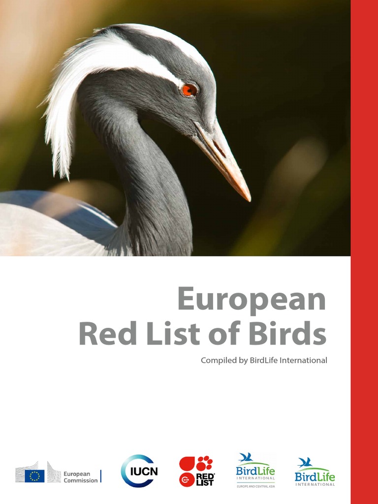 BirdLife European Red List of Birds 2021 | Download Free PDF ...