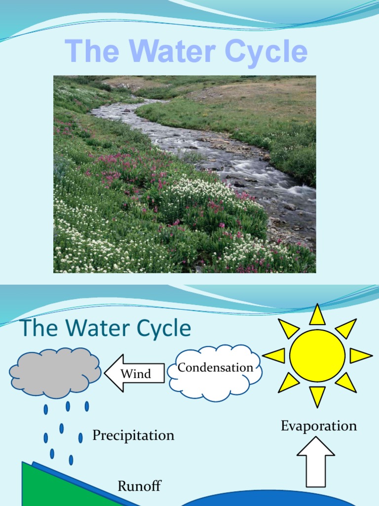 Water Cycle | PDF