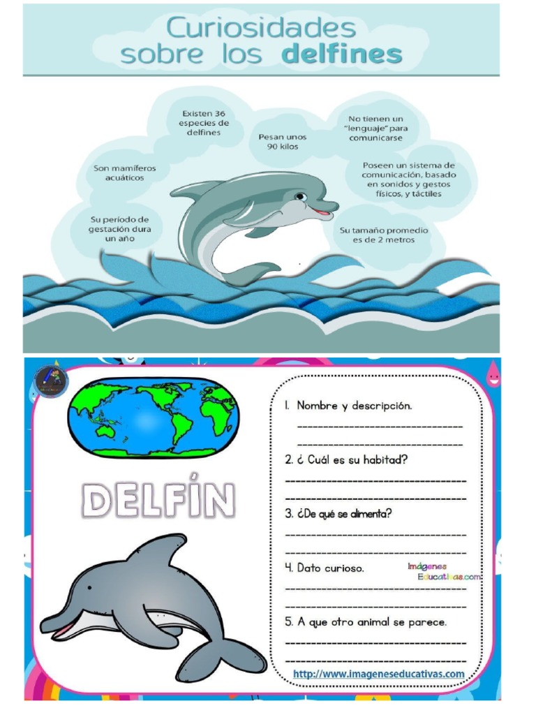 Delfin | PDF