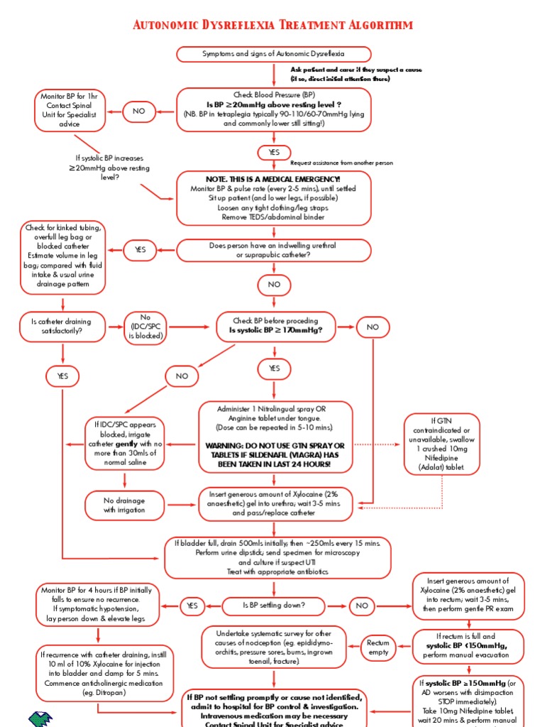 Autonomic Dysreflexia Treatment Algorithm | Catheter | Blood Pressure