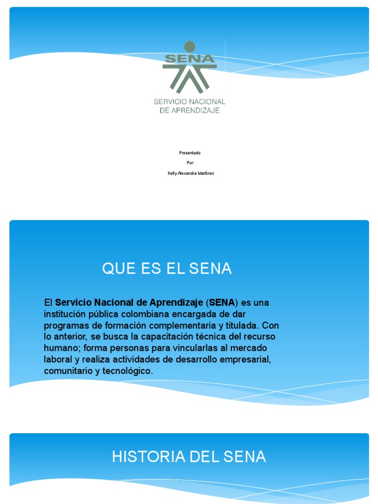 Que Es El Sena | PDF