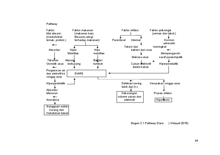 Pathway Diare pada Anak dan Dewasa | PDF