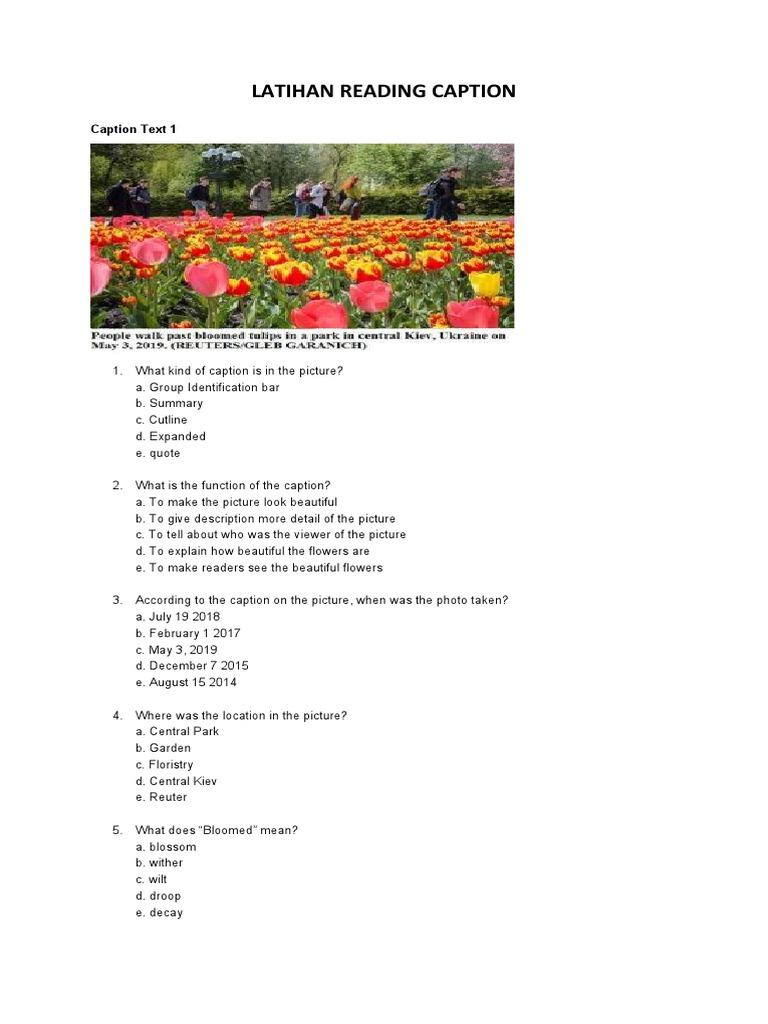 Latihan Reading Caption Text | PDF | Art