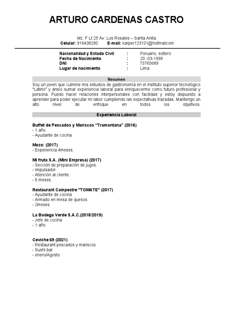 CV-arturo - 2022 | PDF