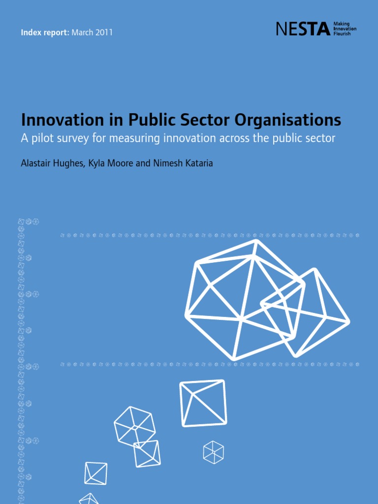 Innovation in Public Sector Organisations | PDF | Innovation | National ...