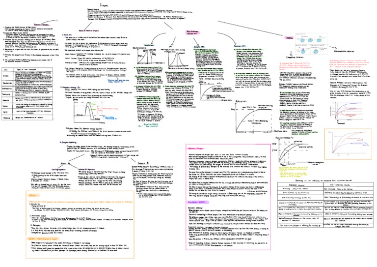 Enzymes Concept Map | PDF | Enzyme | Metabolism