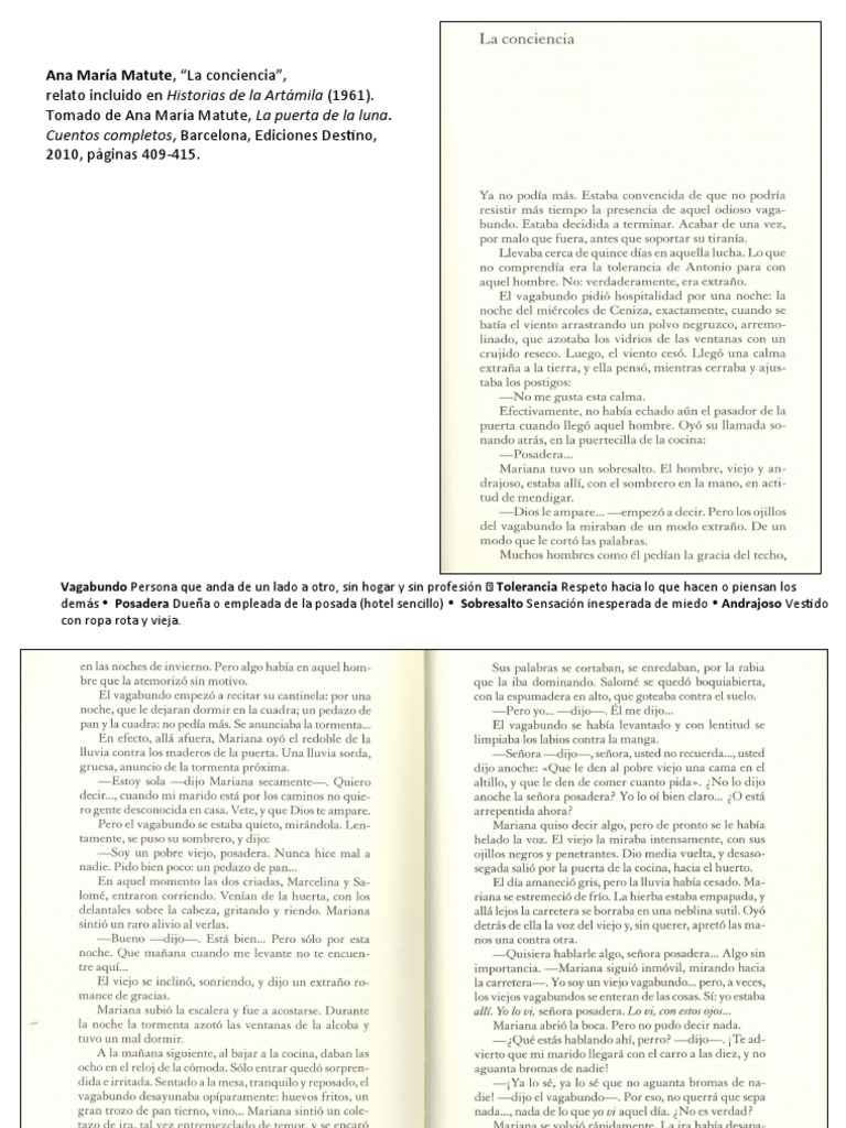 La Conciencia, Ana María Matute | PDF