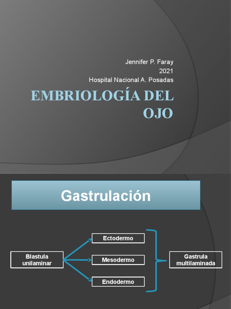 Embriología del Ojo: Desarrollo Inicial | PDF | Córnea | Retina