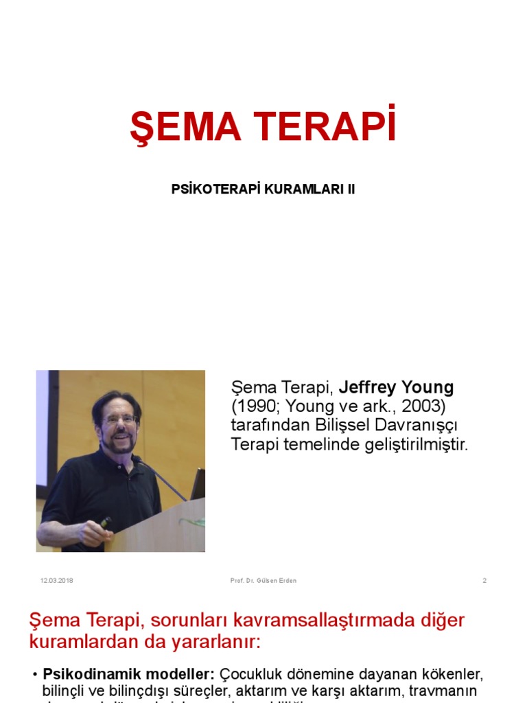 Şema Terapi | PDF