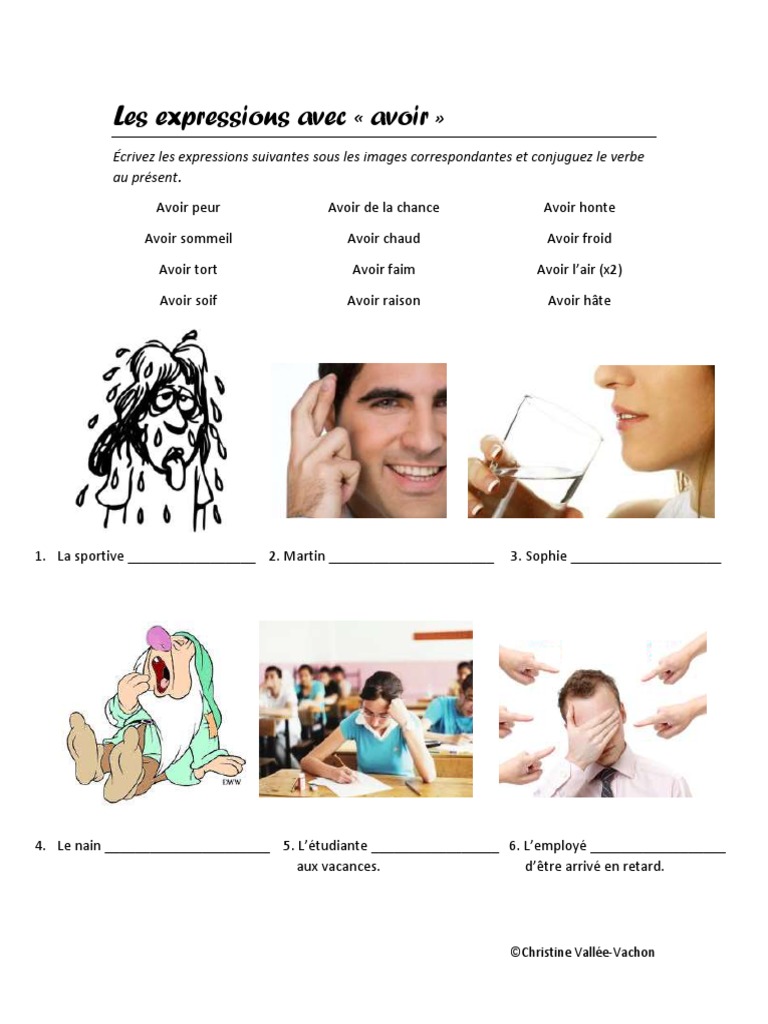 Les Expressions Avec Avoir | PDF