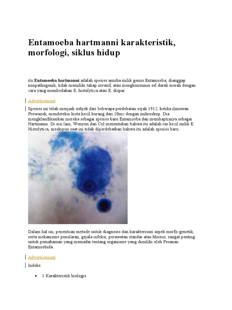 Entamoeba Hartmanni Karakteristik | PDF