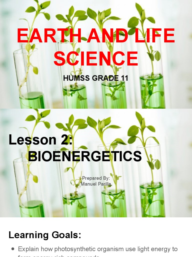 Bioenergetics Lesson Explains Photosynthesis and Cellular Respiration ...