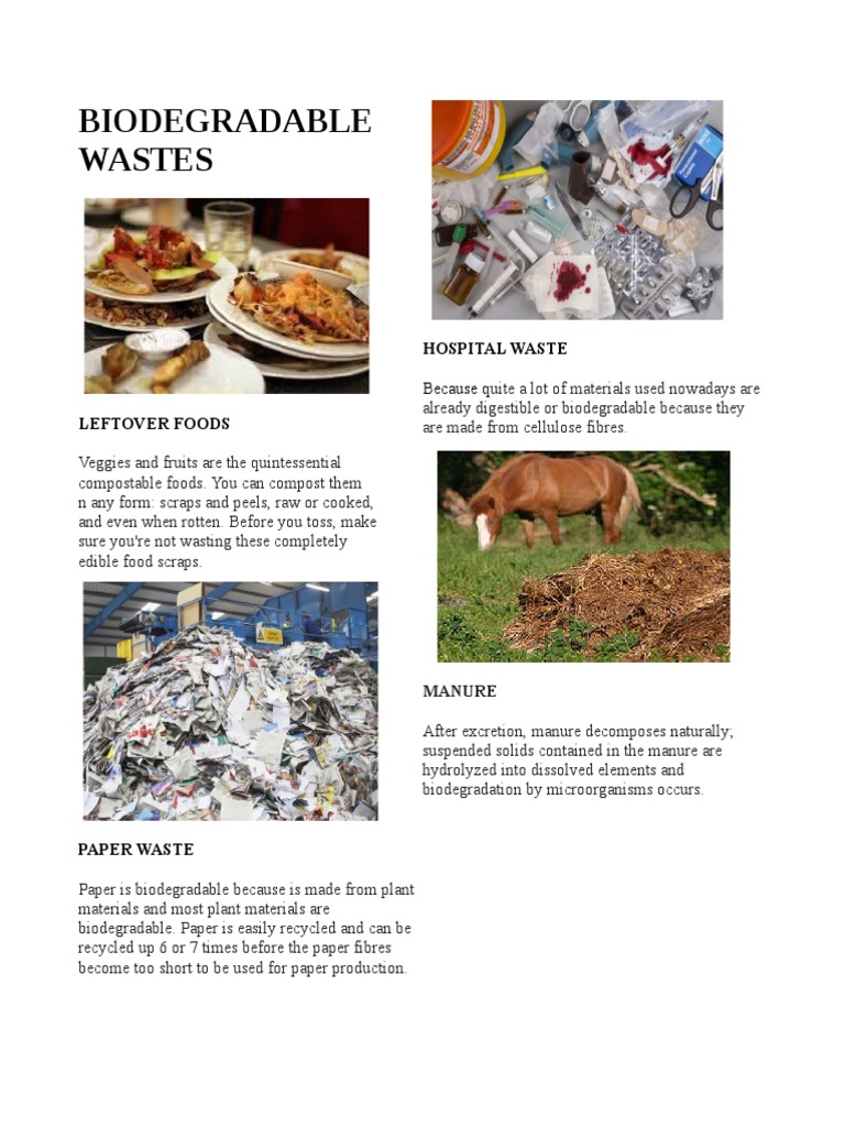 Biodegradable Wastes: Hospital Waste | PDF | Biodegradation | Decomposition