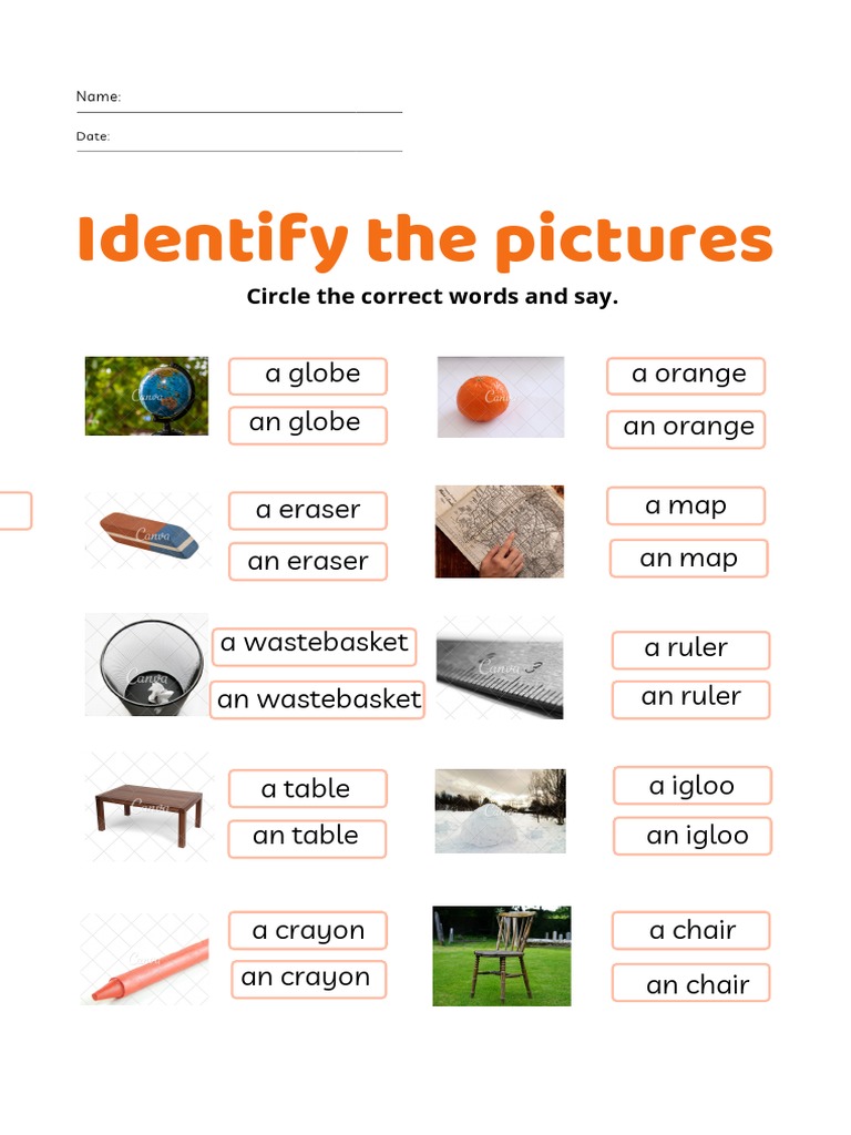 Colorful Identifying Objects Words Foundational Worksheet | PDF