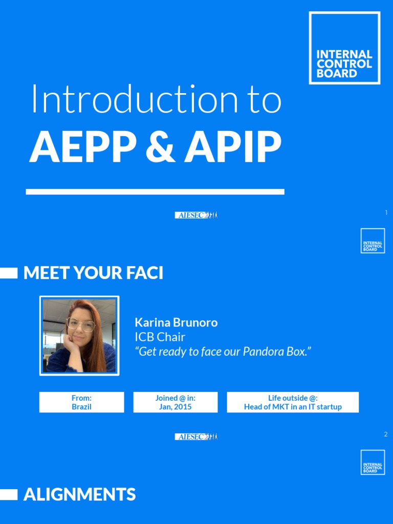Introduction To AEPP & APIP | PDF | Risk | Audit
