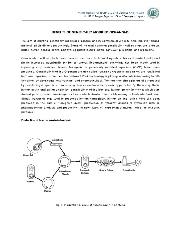 Benefits of Genetically Modified Organisms | PDF | Respiratory System ...