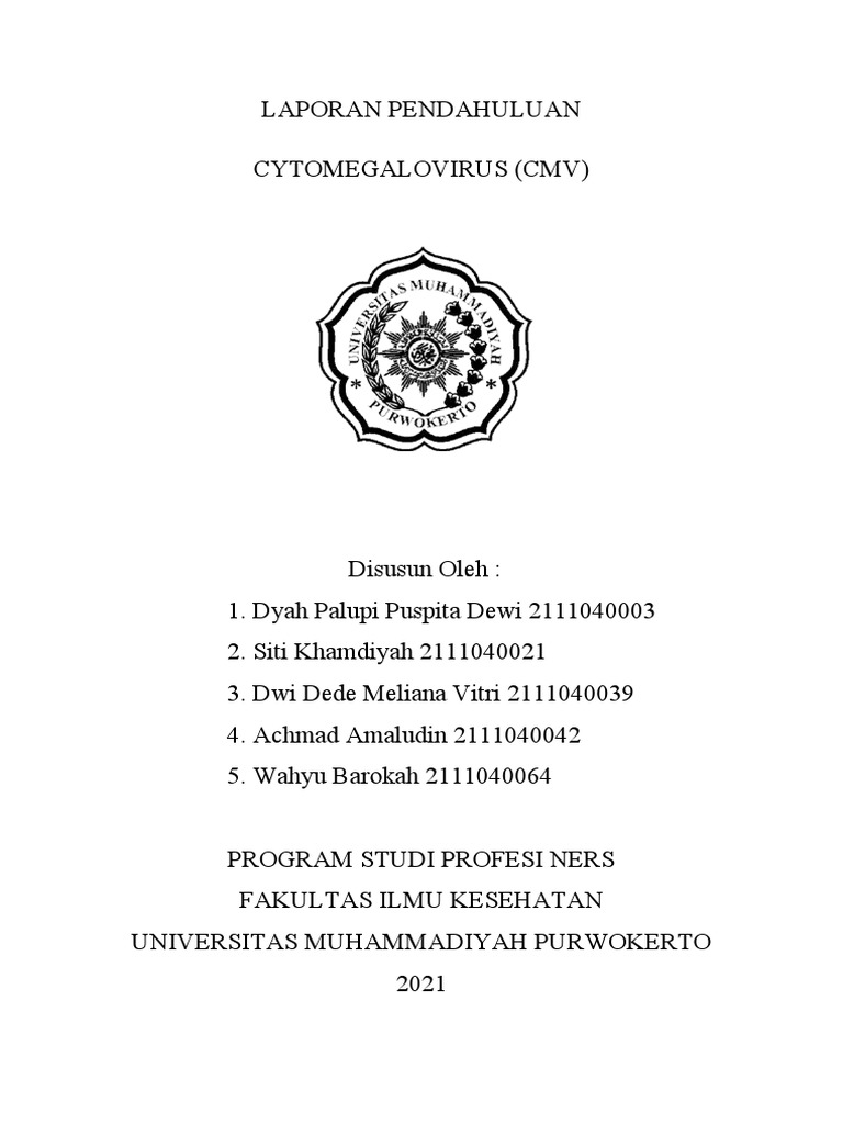 LP Kelompok CMV | PDF