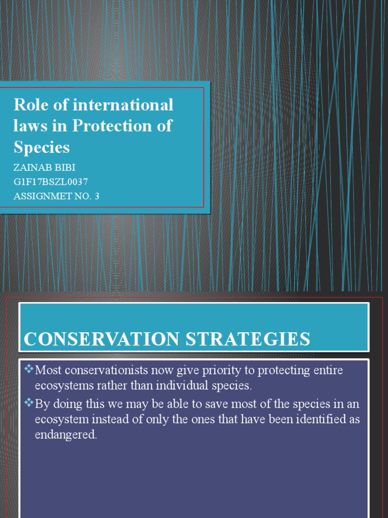Assignment 3 Conservation | PDF