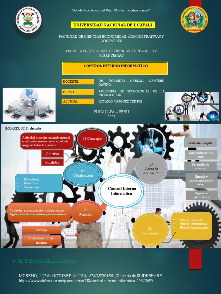 Control Interno Informatica | PDF | Informática | Edad de información