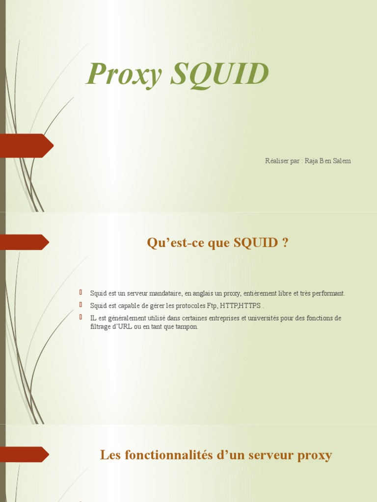 Guide de Configuration du Proxy Squid | PDF