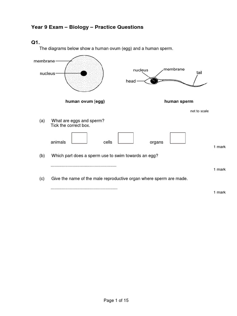 Year 9 Biology Exam Practice Questions | PDF | Virus | Photosynthesis