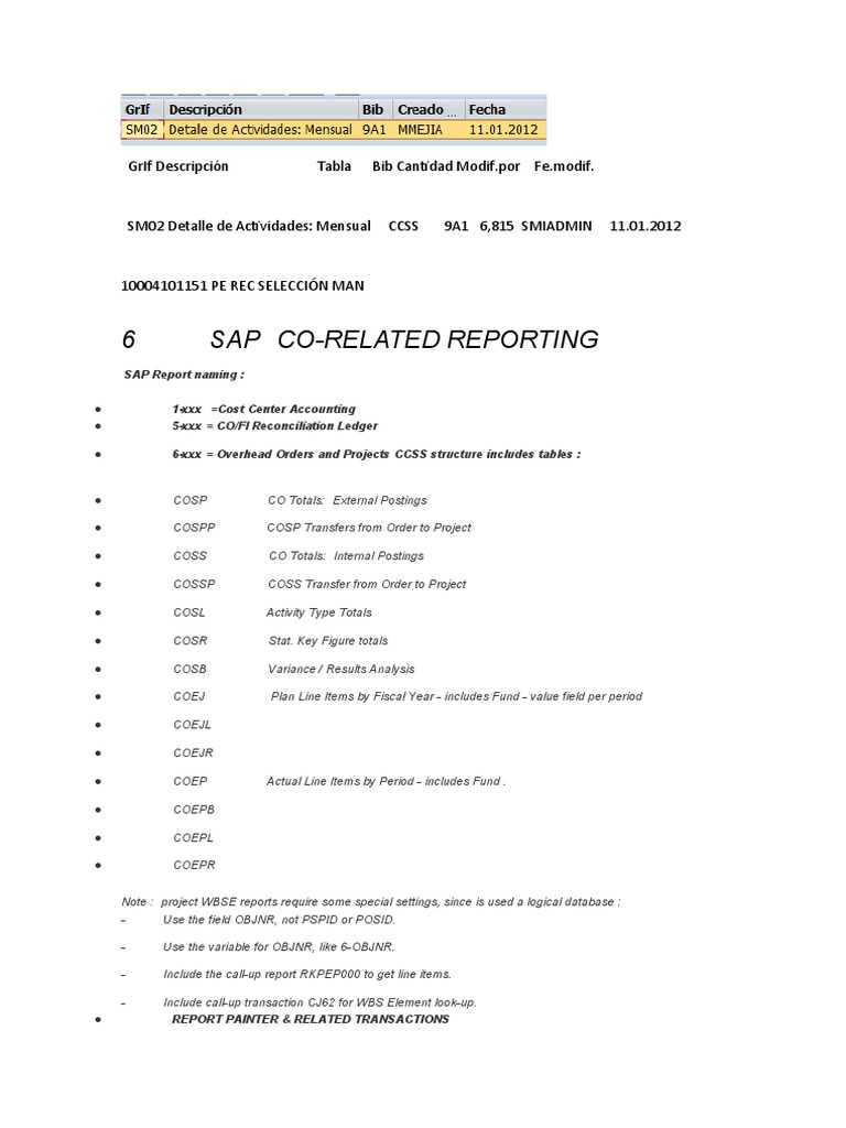 Abap Report Painter | PDF | Information Technology Management | Computing