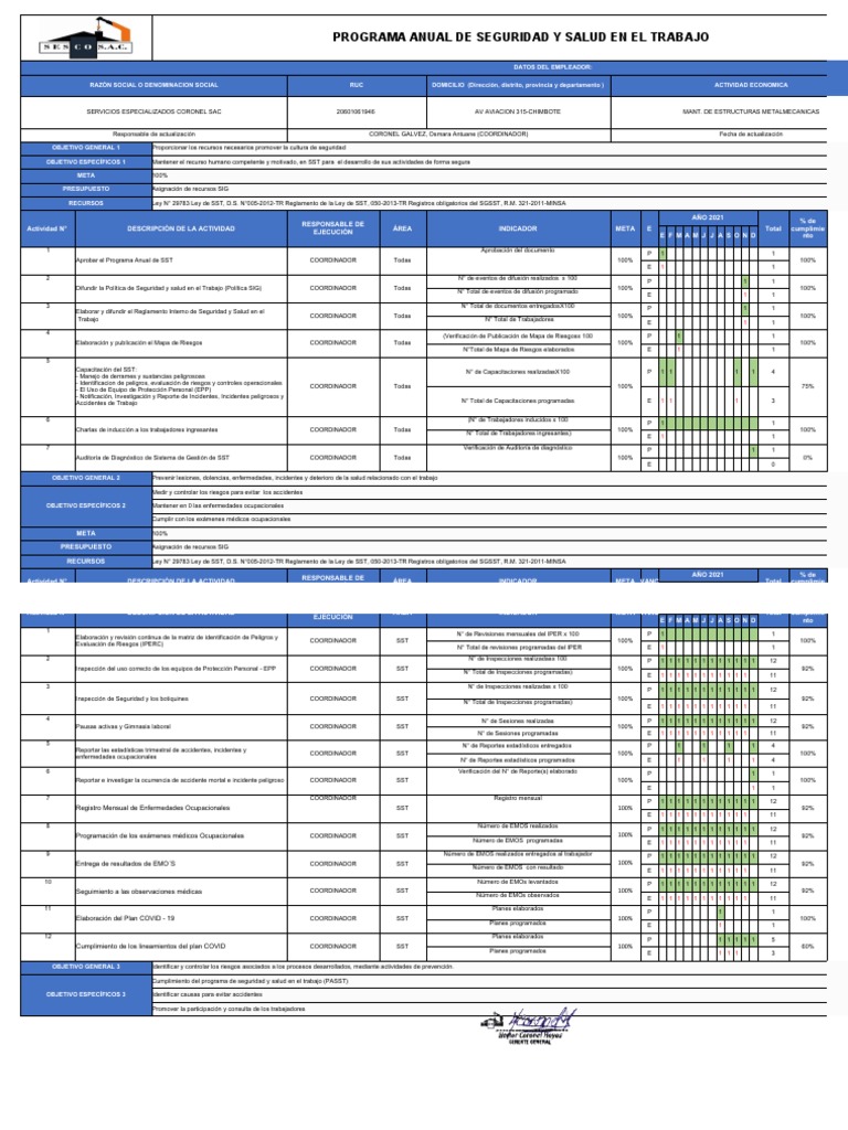 SSO-PG-001 Programa Anual de Seguridad y Salud en El Trabajo 2020 Ver00 | PDF | Auditoría ...
