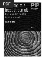 Model Coperta Licenta | PDF