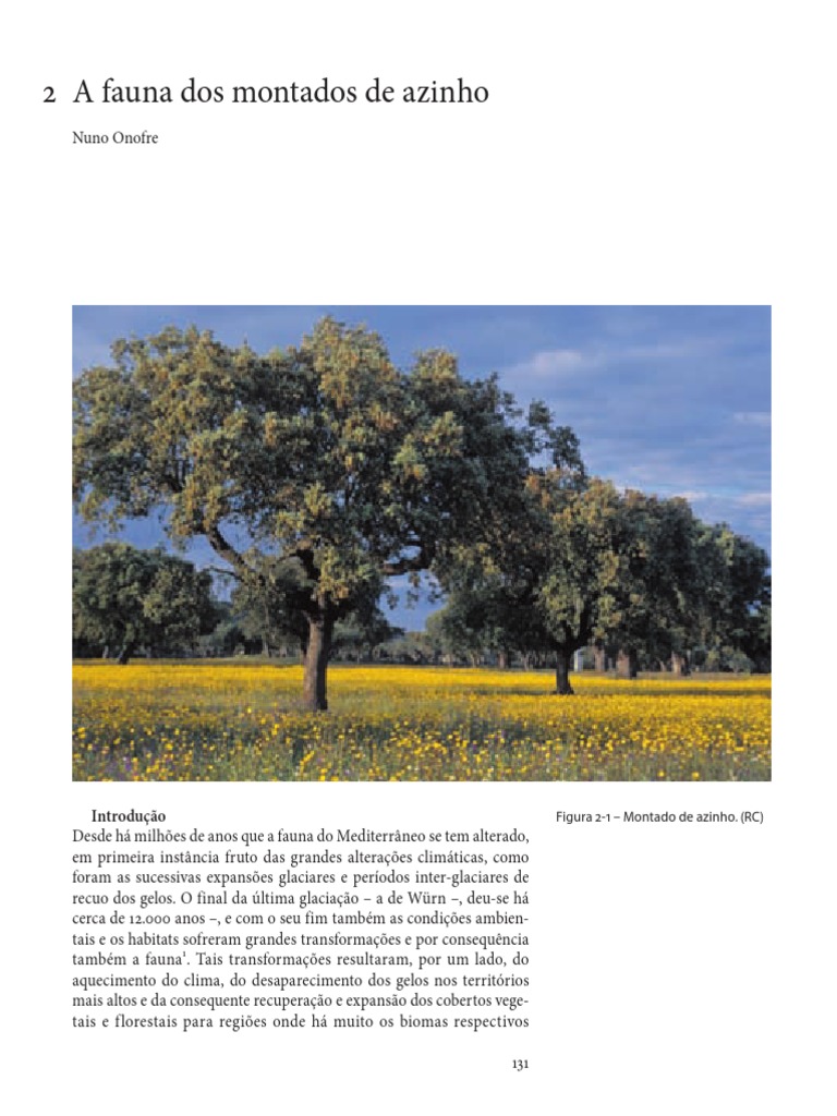 A Fauna Dos Montados de Azinho | PDF | Habitat | Biodiversidade