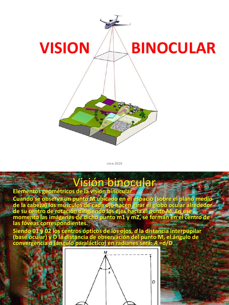 4-Vision Binocular-Abc | PDF | Percepción visual | Ojo humano