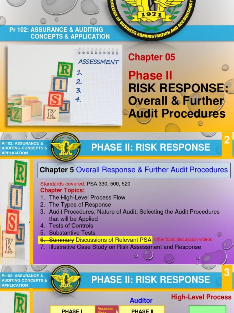 Designing Effective Audit Procedures to Address Risks: A Case Study on ...
