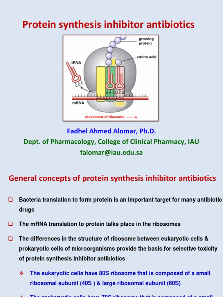 4-Protein Synthesis Inhibitor Antibiotics Oct 30 TH 2018 | PDF ...