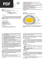 Understanding MPL and MPS in DepEd | PDF | Educational Assessment ...