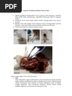 Penjelasan Anatomi Mencit | PDF