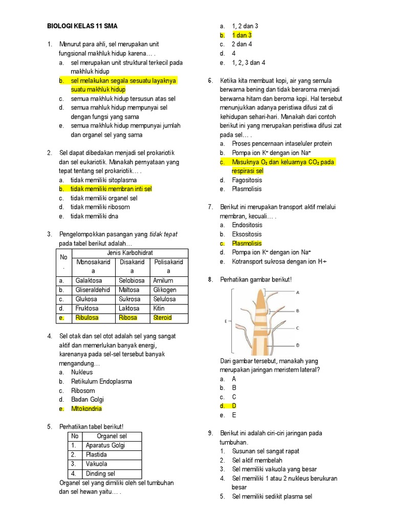 Contoh Uas Bio | PDF