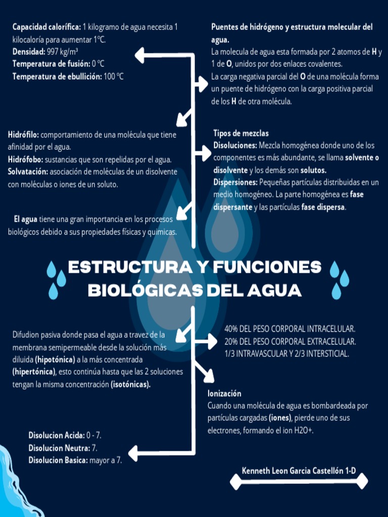 Estructura y Funciones Biológicas Del Agua | PDF | Solución | Agua