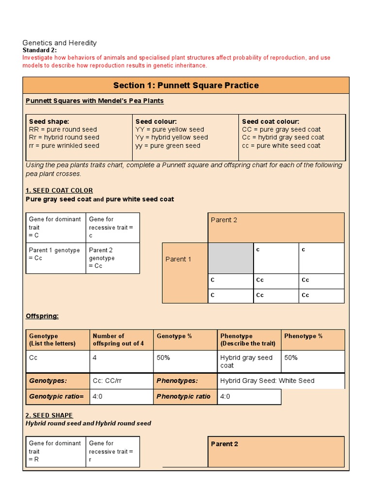 Genetics and Heredity - Punnett Squares | PDF | Dominance (Genetics ...