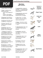 Angelic Human 12-Tribes and Indigo Maji Grail Lines Summary1 | PDF ...