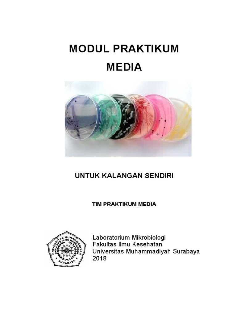 Modul Praktek Media-Dikonversi | PDF